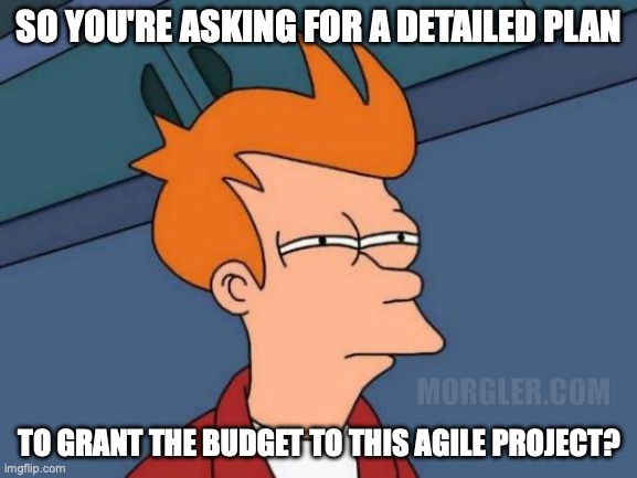 Detailed Plan vs Agile Meme - Matthias Orgler
